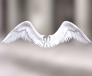 ZBrush Avian Wing + FBX + OBJ