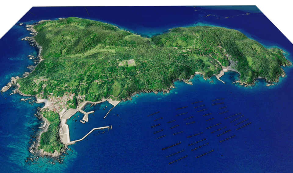 Tashirojima Island 3d Model Terrain