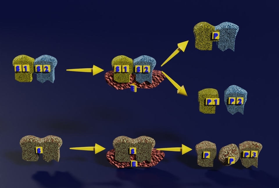 3D enzyme substrate reaction product