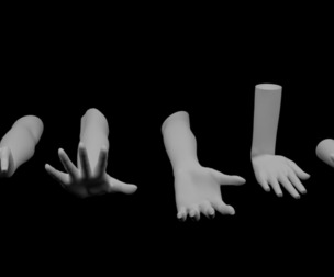 13 Single Hand Poses