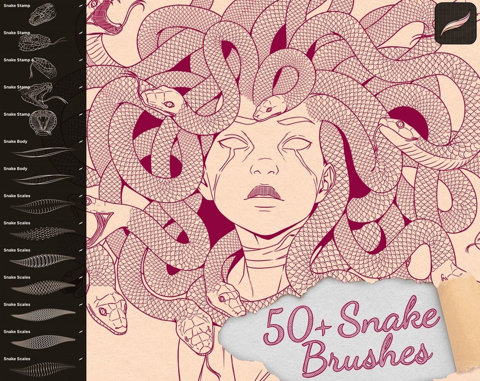 50+ Snake Brushes for Procreate
