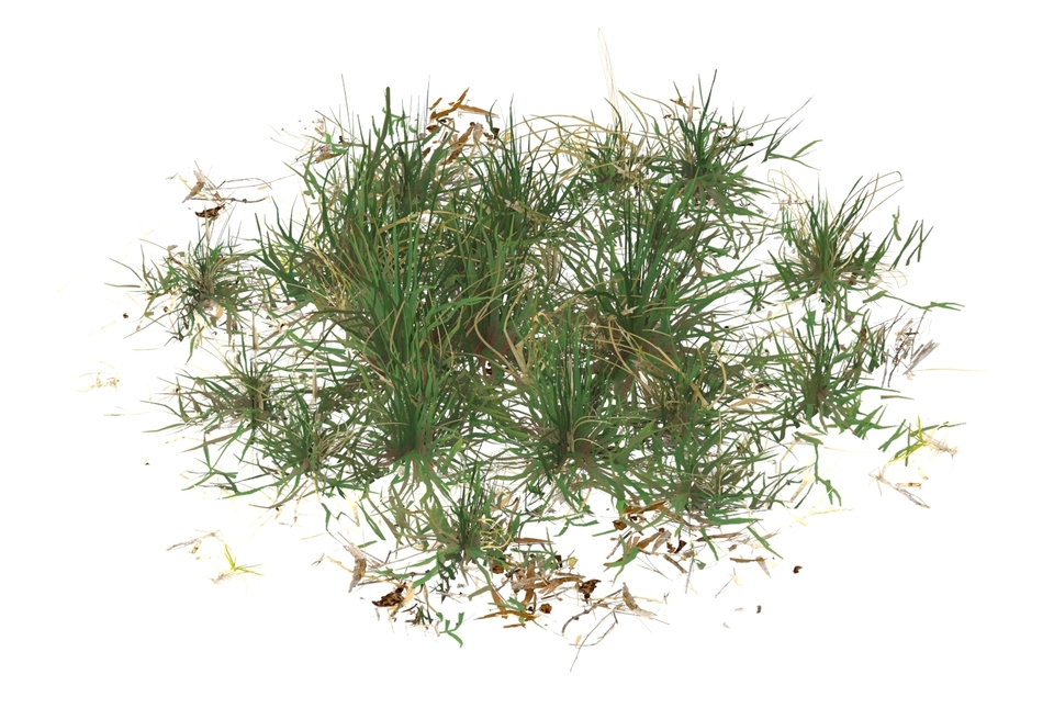 Realistic Game Ready Grass 01