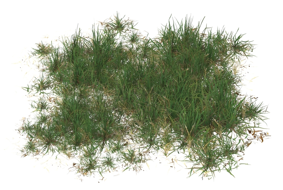 Realistic Game Ready Grass 11