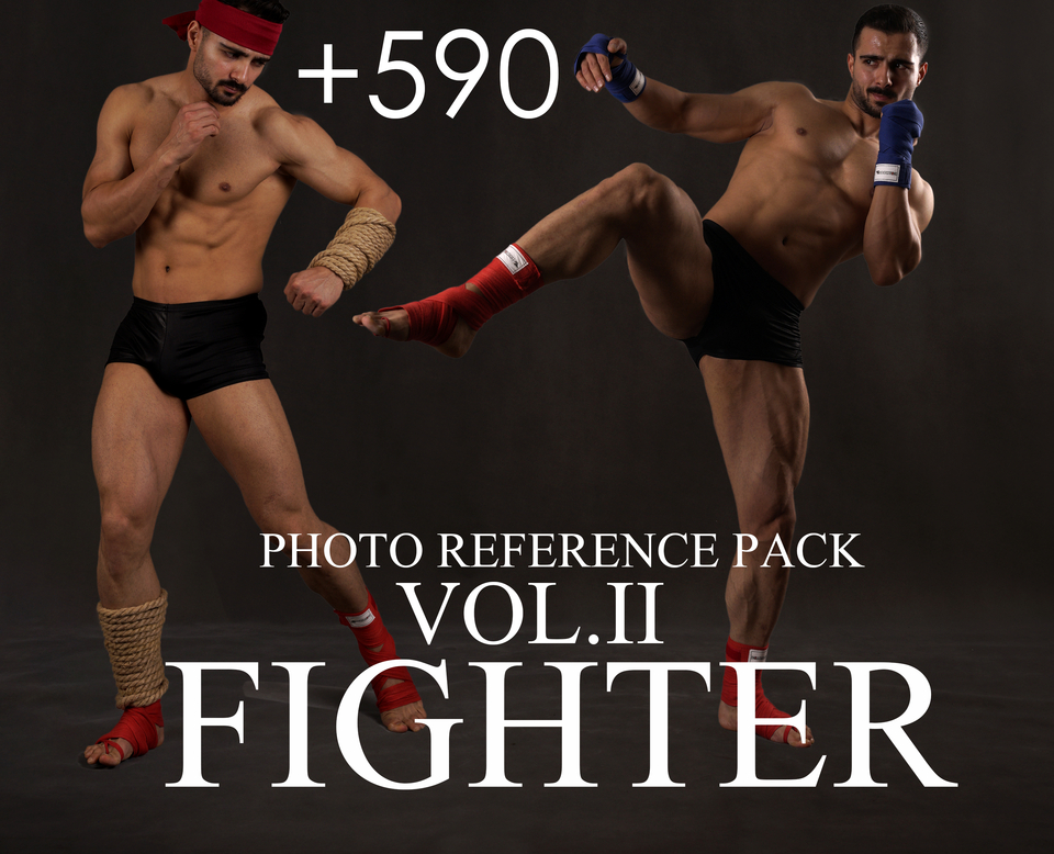 Fighter Poses Photo Reference Pack . 590+ JPEGs