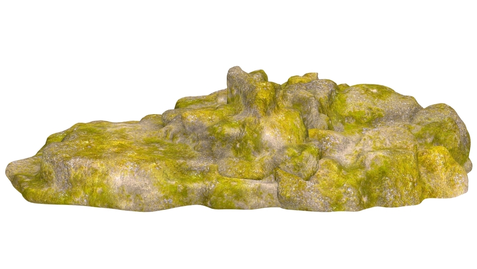 Moss Stone Rock 08
