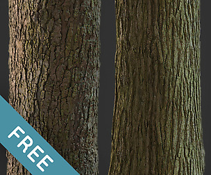Zbrush Alpha Tree Bark Set for Free