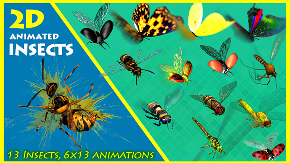 2D ANIMATED INSECTS