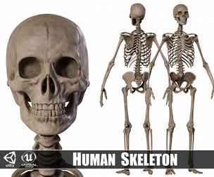 Abstract Humanoids III