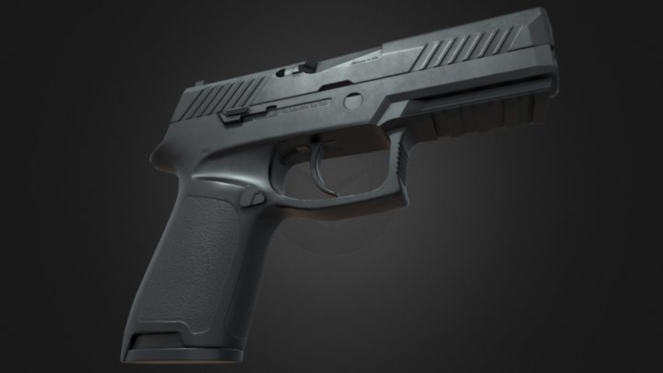 SIG Sauer P320 Modular Semi-Automatic Pistol PBR