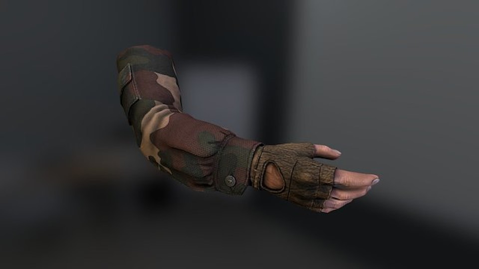 FPS Hand