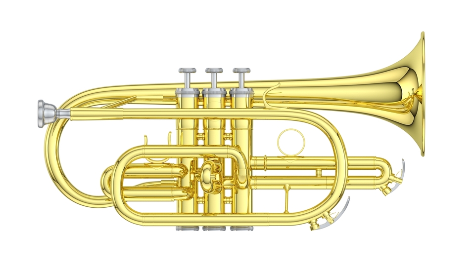 Cornet