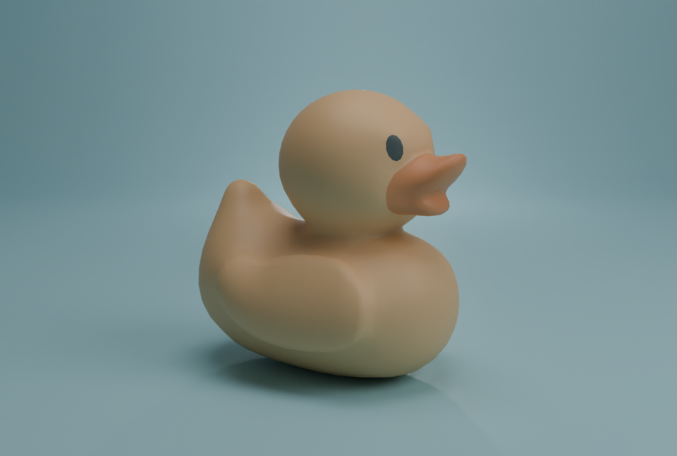 Duck