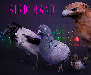 Chibi Crow - 3D Black - Rigged Cartoon Bird