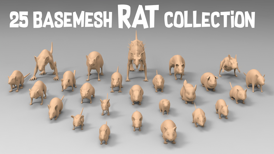 25 Basemesh rat collection