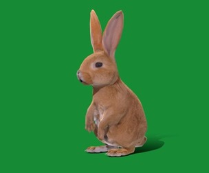 Wendigo Eastern Rabbit Monster