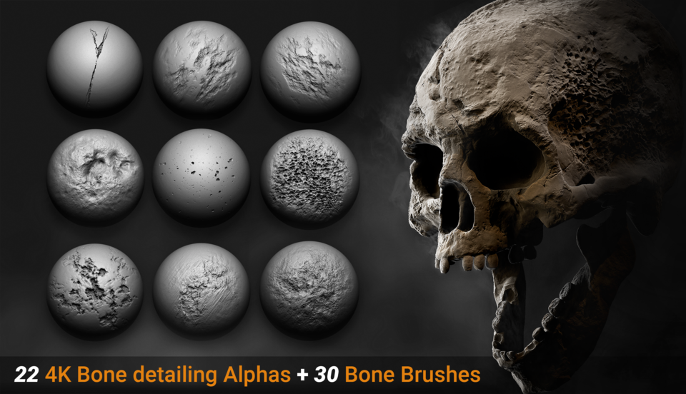 Zbrush-Blender | 30 Bone Brushes + Alphas