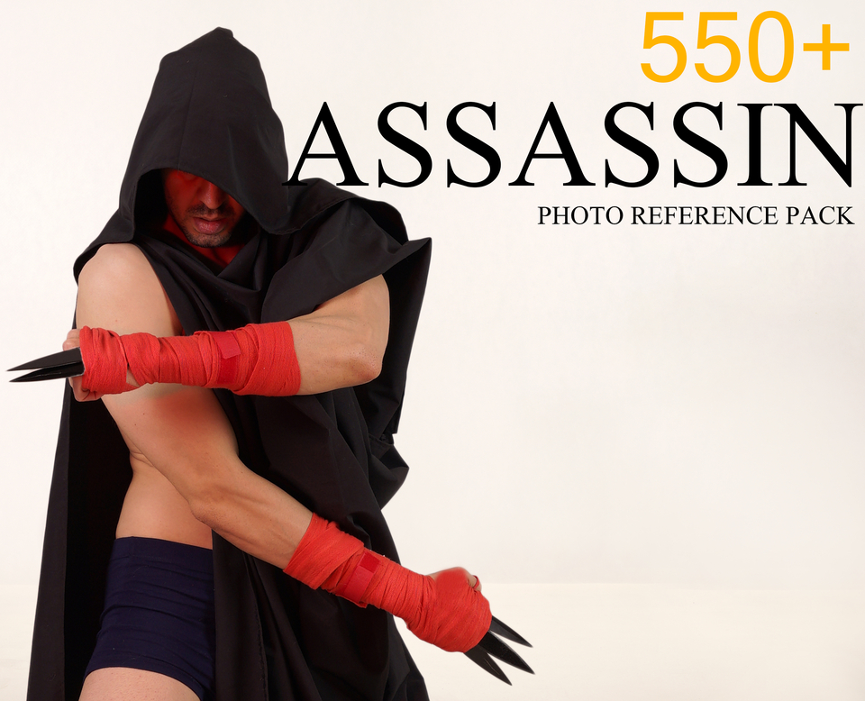 550+ Assassin Character Poses Reference Picture