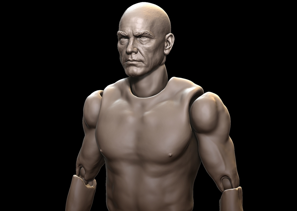 ACTION FIGURE 3D PRINTING, MALE MOVABLE BODY