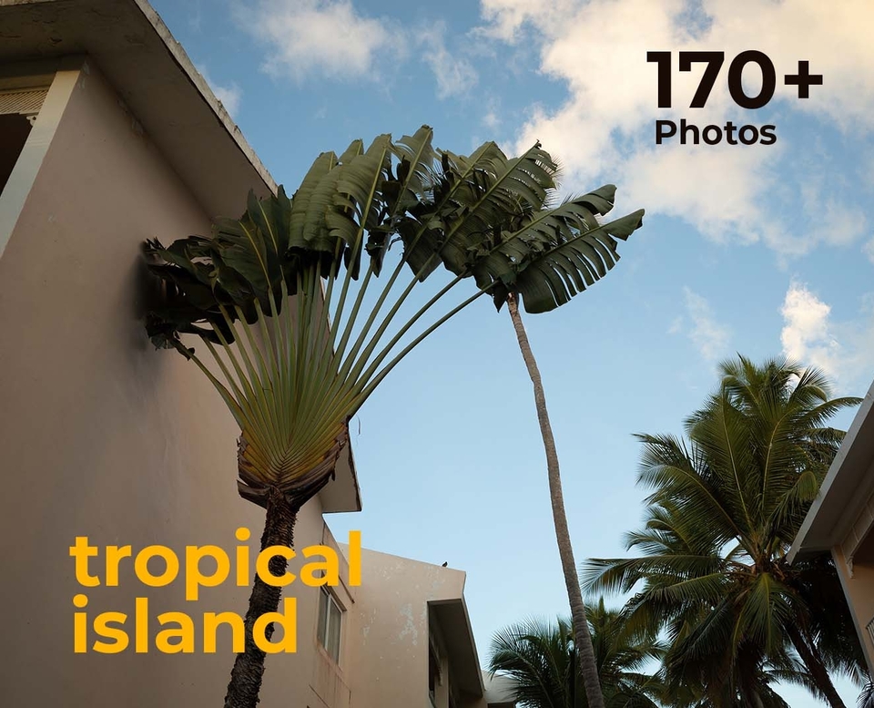 Tropical Island - References For Artists