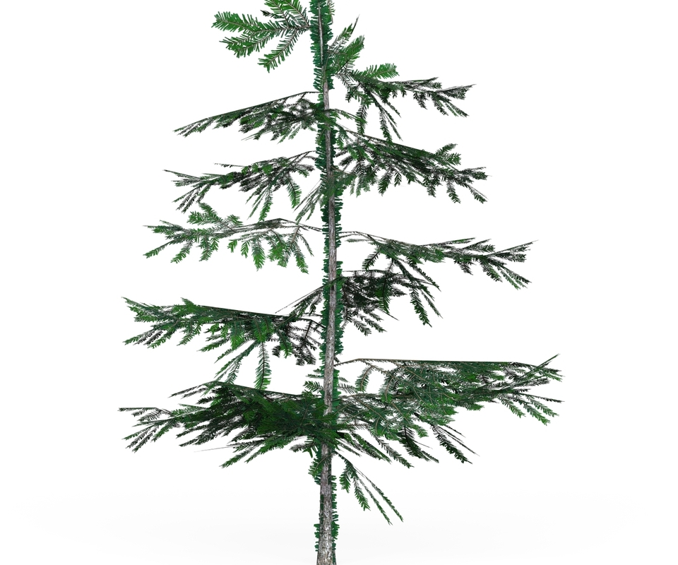 Low Poly Pine Tree 01