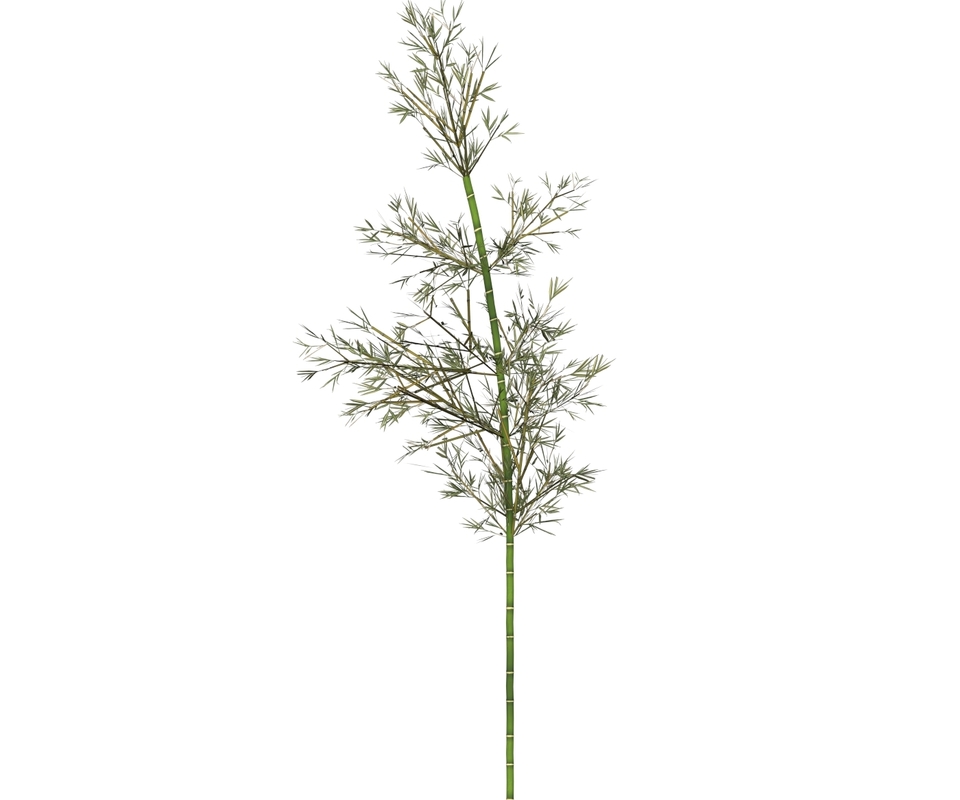 Realistic Low Poly Bamboo 02