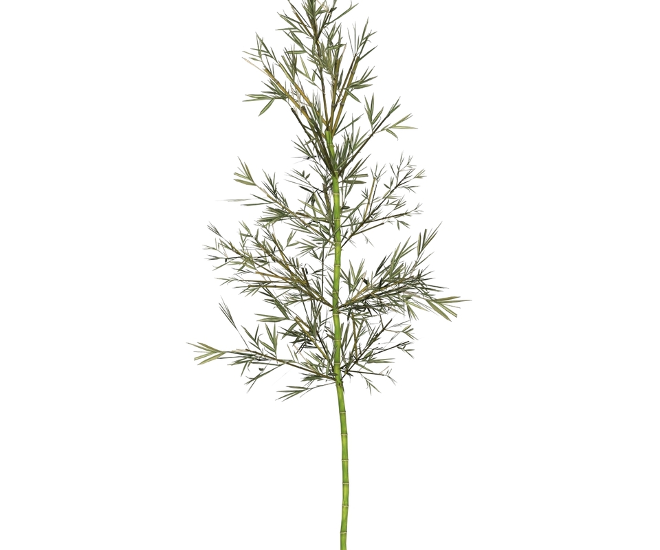 Realistic Low Poly Bamboo 03