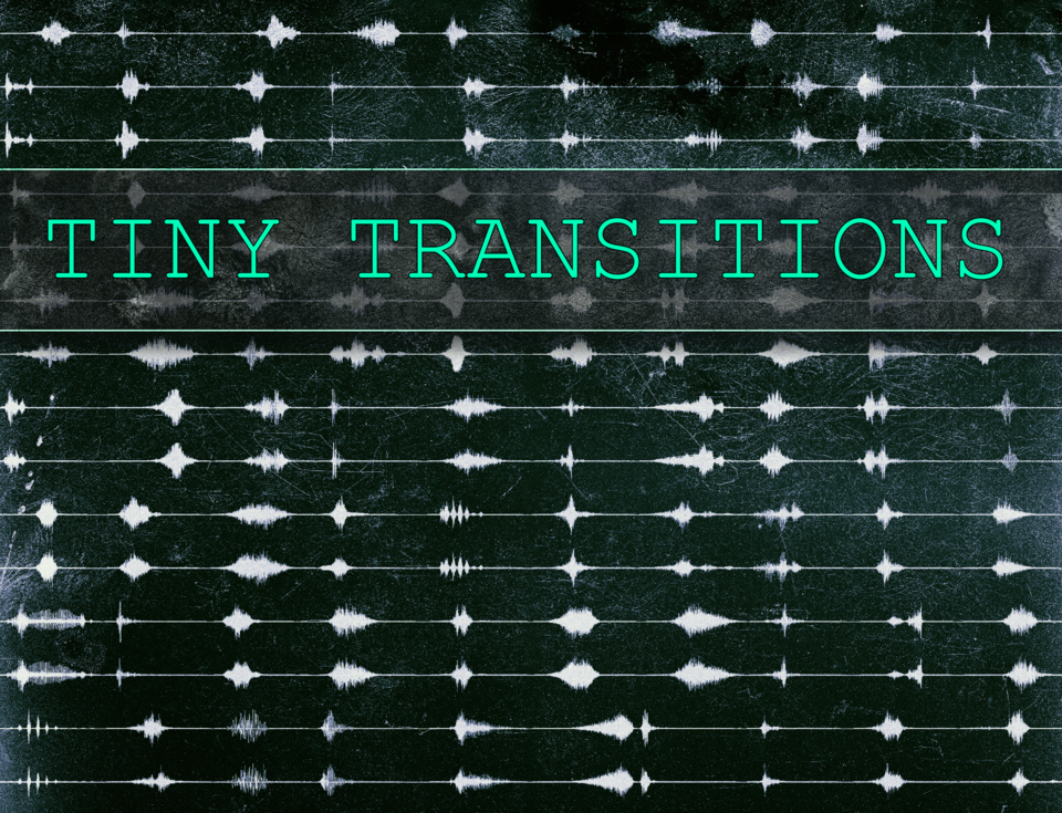 TINY TRANSITIONS