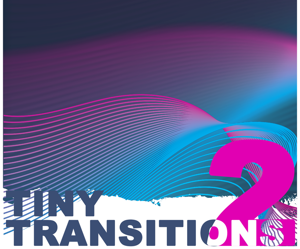 TINY TRANSITIONS 2