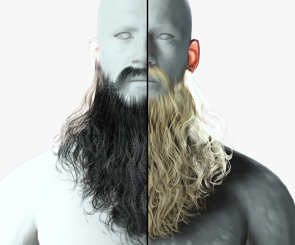 Realistic Full Beard