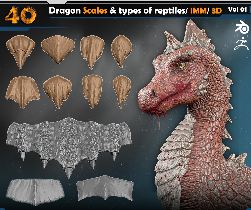 Dragon scales & types of reptiles Vol 01