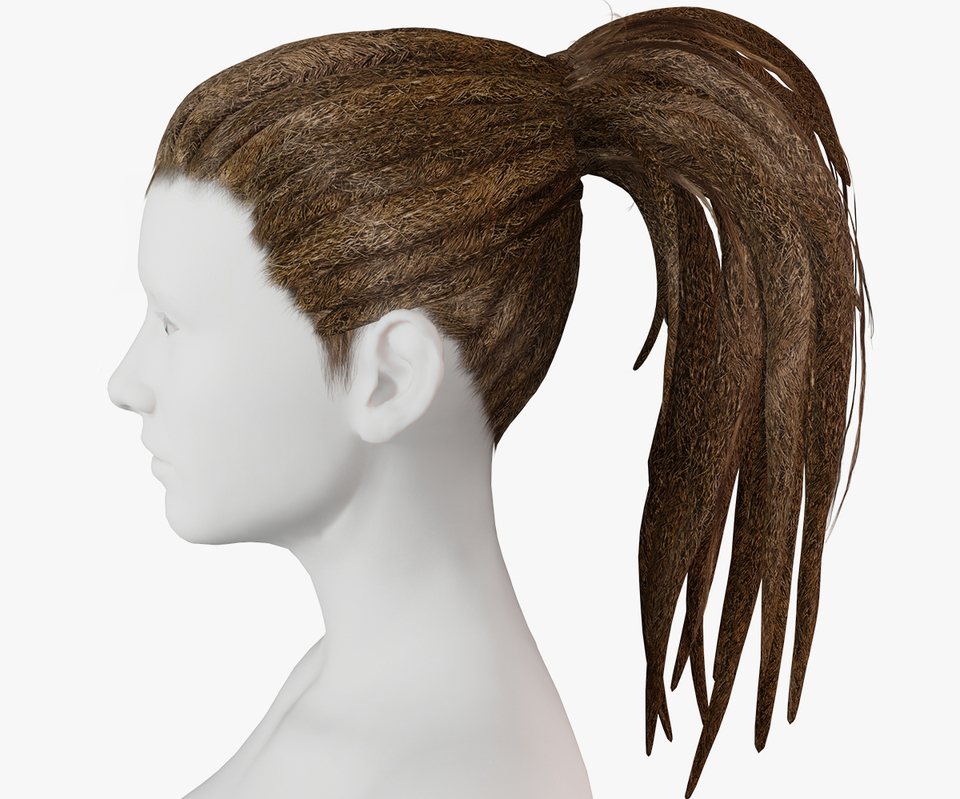 Realistic Dreads Hair Rasta Free