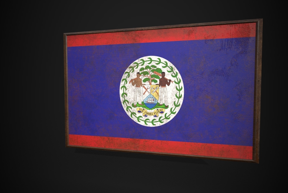 Old Picture Frame With Belize Flag