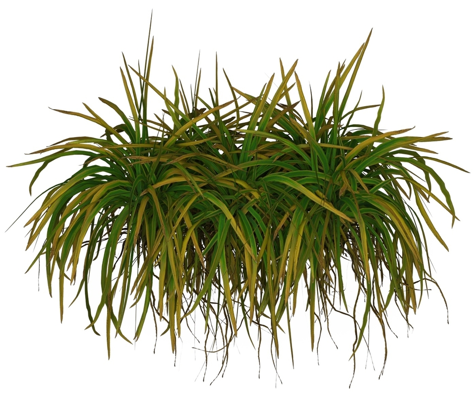 Game Ready Grass 02