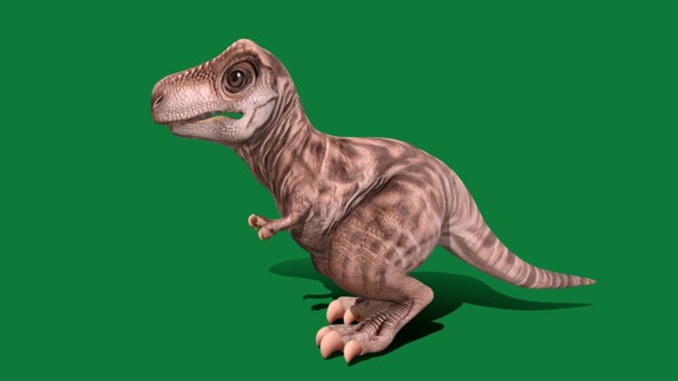 Tyrannosaurus Rex Baby Dinosaur