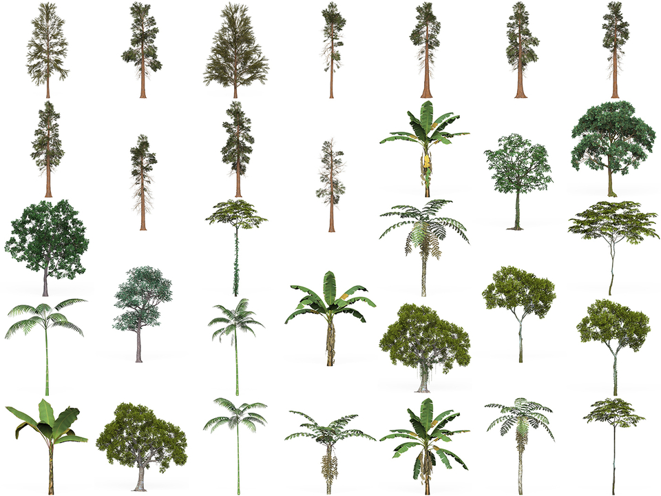 32 Game Ready Tree Collection - 02