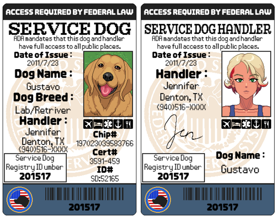 MFPNP the blind girl