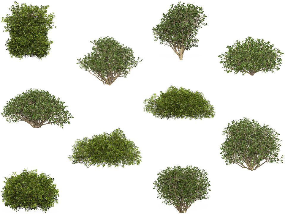 10 Game Ready Plant Bush Collection