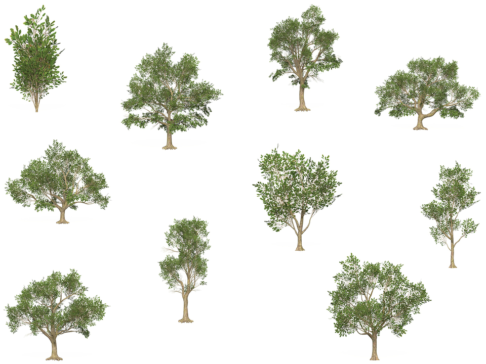 10 Game Ready Big Tree Collection