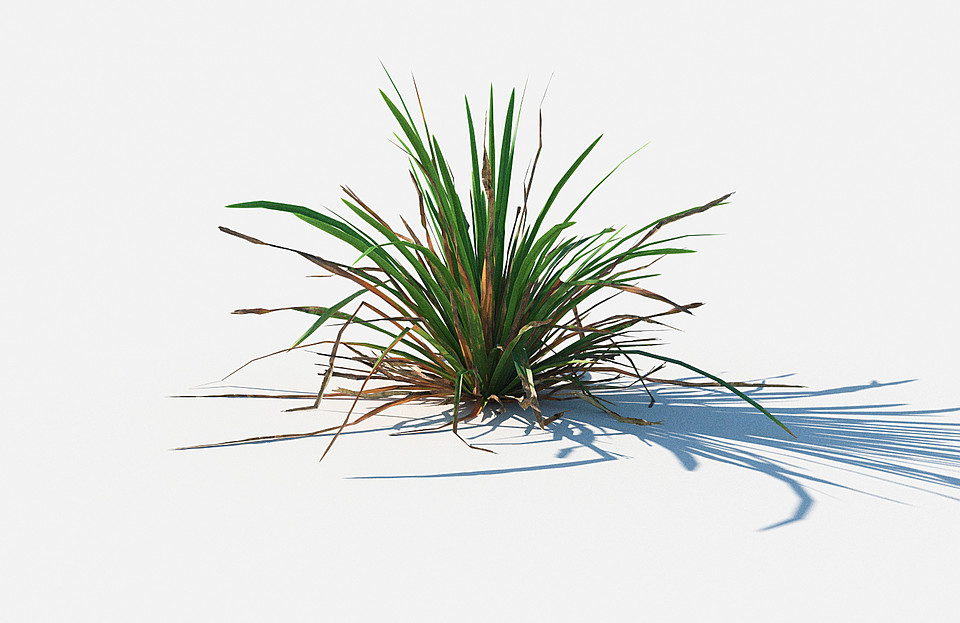 Simple grass