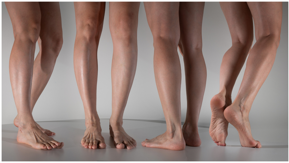 Female Feet & Legs - Reference Photo Pack For Artists 518 JPEGs noAI