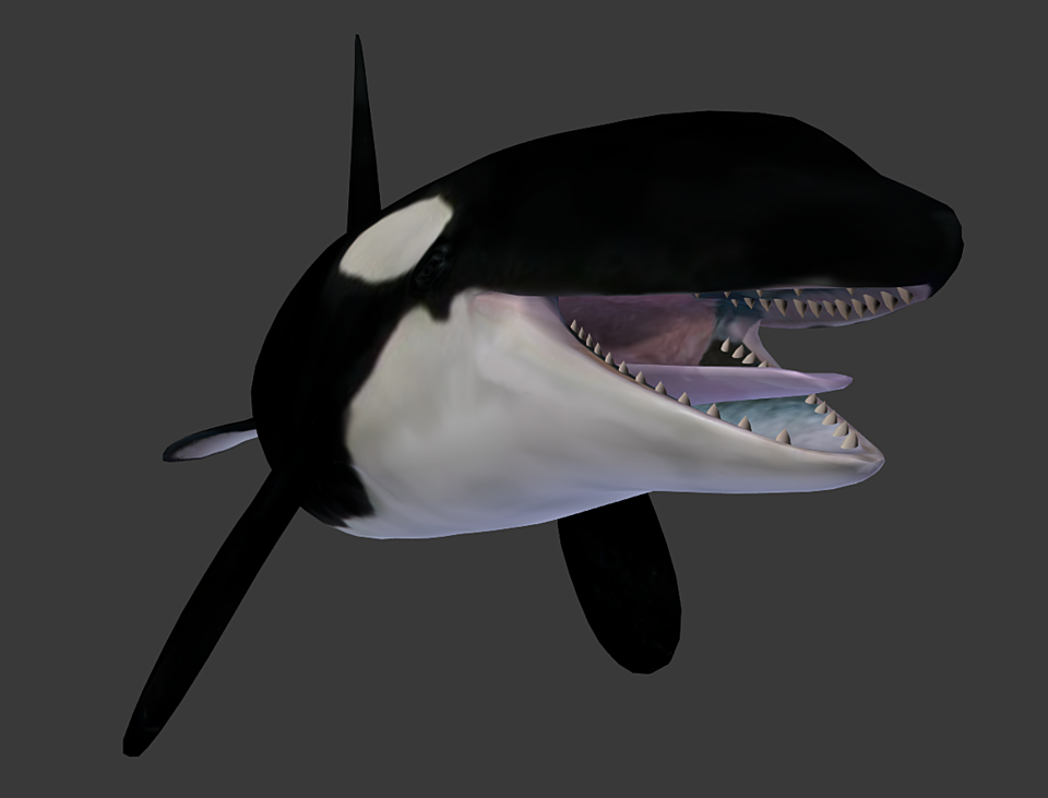 Orca