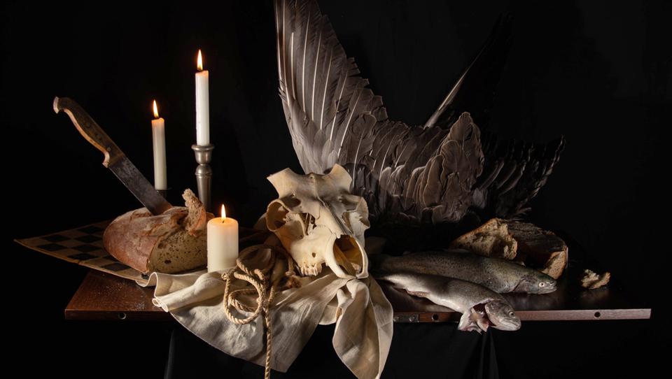 Still Life vol.1 - Reference Photo Pack For Artists 230 JPEGs noAI