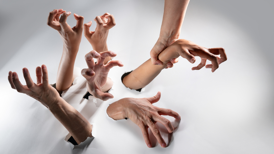 Hands (Female) - Photo Reference Pack For Artists 432 JPEGs noAI