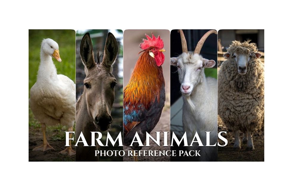 Farm Animals - Reference Photo Pack For Artists 522 JPEGs noAI
