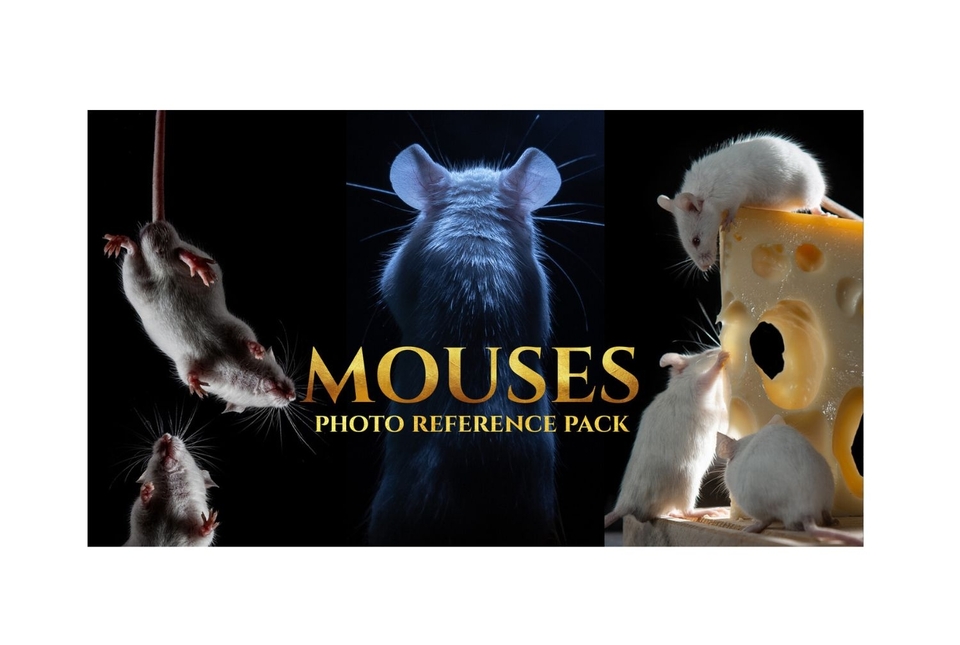 Mice - Reference Photo Pack For Artists 357 JPEGs noAI