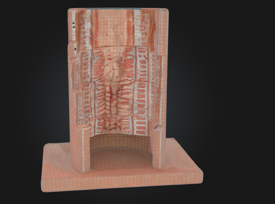 3D Microanatomy Model of Digestive System