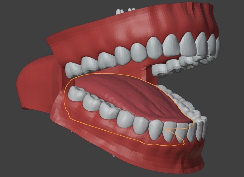 3D Teeth, Tounge, Mouth - Dental Model