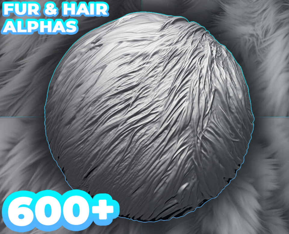 600+ Animals Hair & Fur Alphas (Displacement Maps) for ZBrush, Blender ...