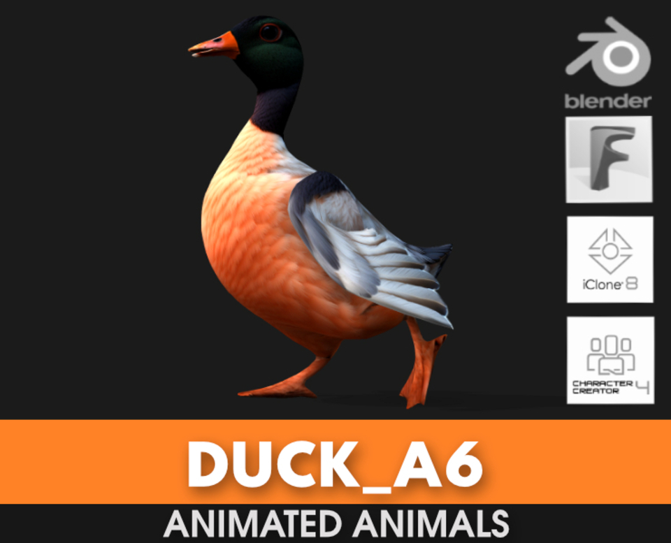 Duck_A6