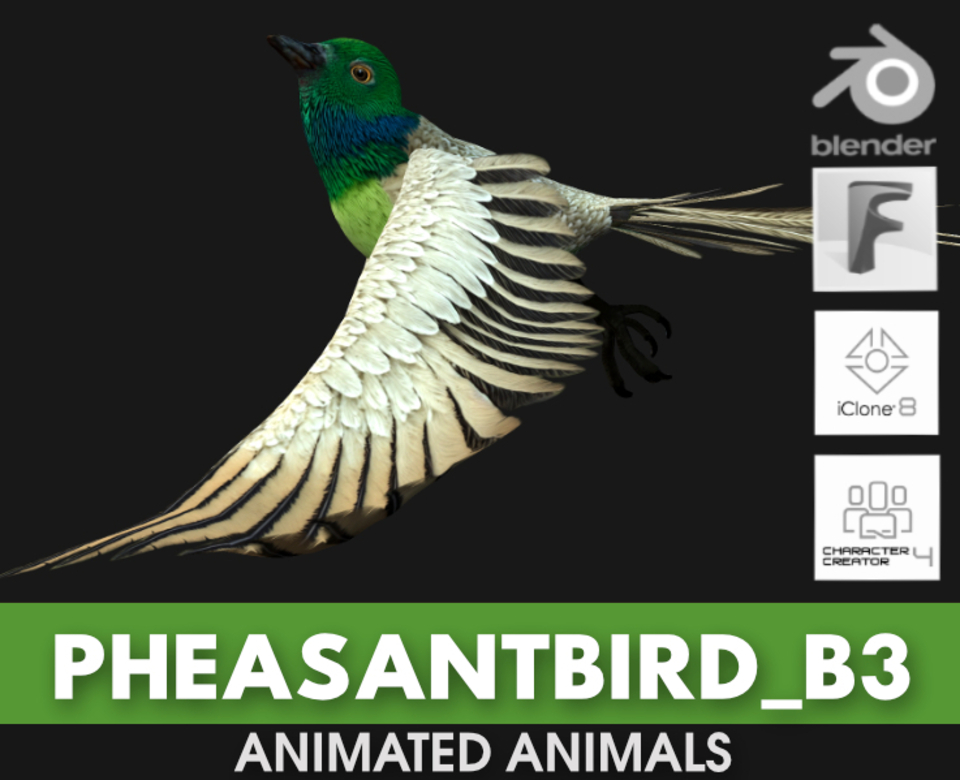 PheasantBird_B3